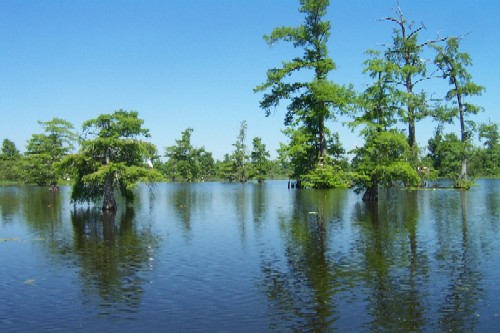 Rivers – Foreman, Arkansas